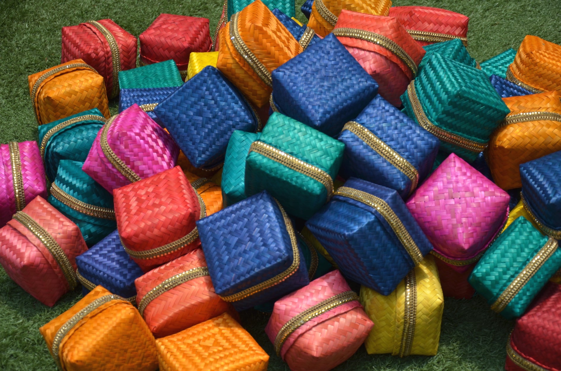 Dharini - Connecting with Nature