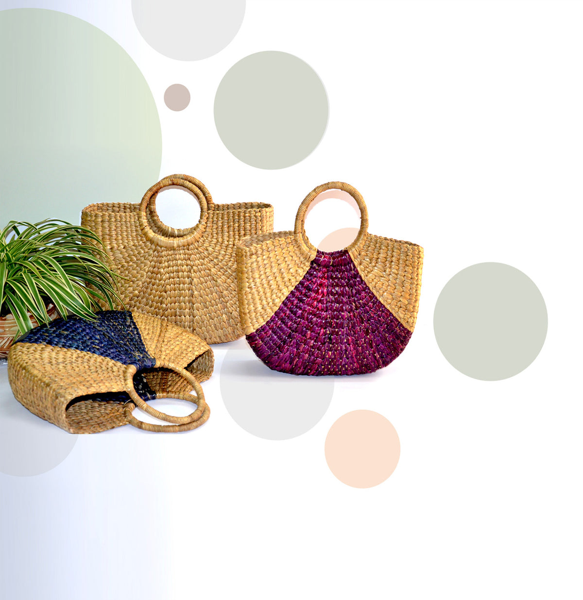 Dharini - Connecting with Nature